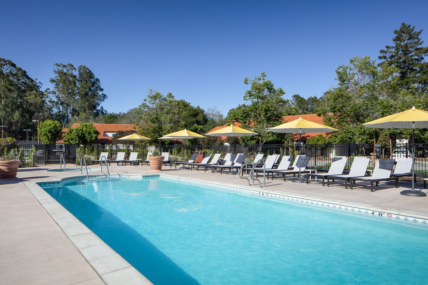 Albert Hotel | Properties | Curator Hotel & Resort Collection