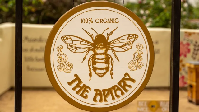 Apiary Garden & Sanctuary Visit | Curator Hotel & Resort Collection