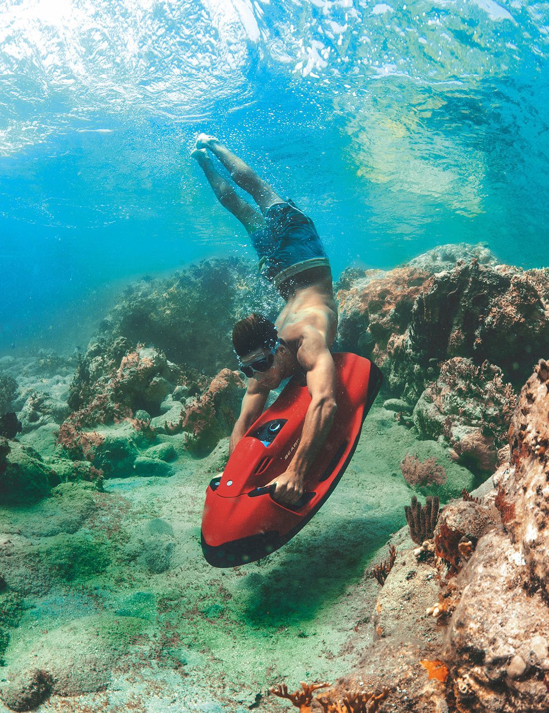 SEABOB Guided Snorkel Tour | Curator Hotel & Resort Collection