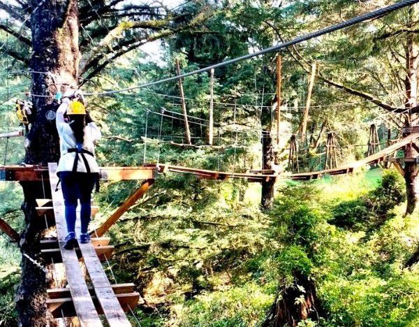Salishan Coastal Lodge by SCP Hotels | Properties | Curator Hotel ...