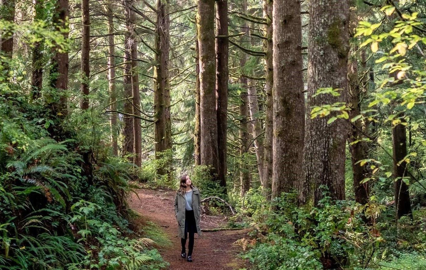 Salishan Coastal Lodge by SCP Hotels | Properties | Curator Hotel ...