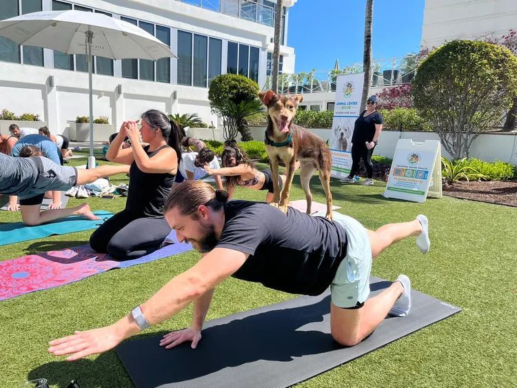 Eden Roc Miami Beach | Luxury Oceanfront Retreat